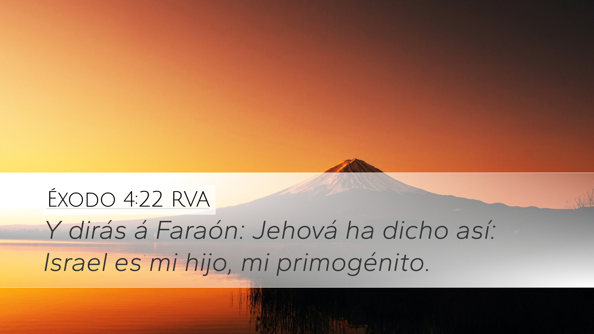 Éxodo 4:22 RVA Desktop Wallpaper - Y dirás á Faraón: Jehová ha dicho así: