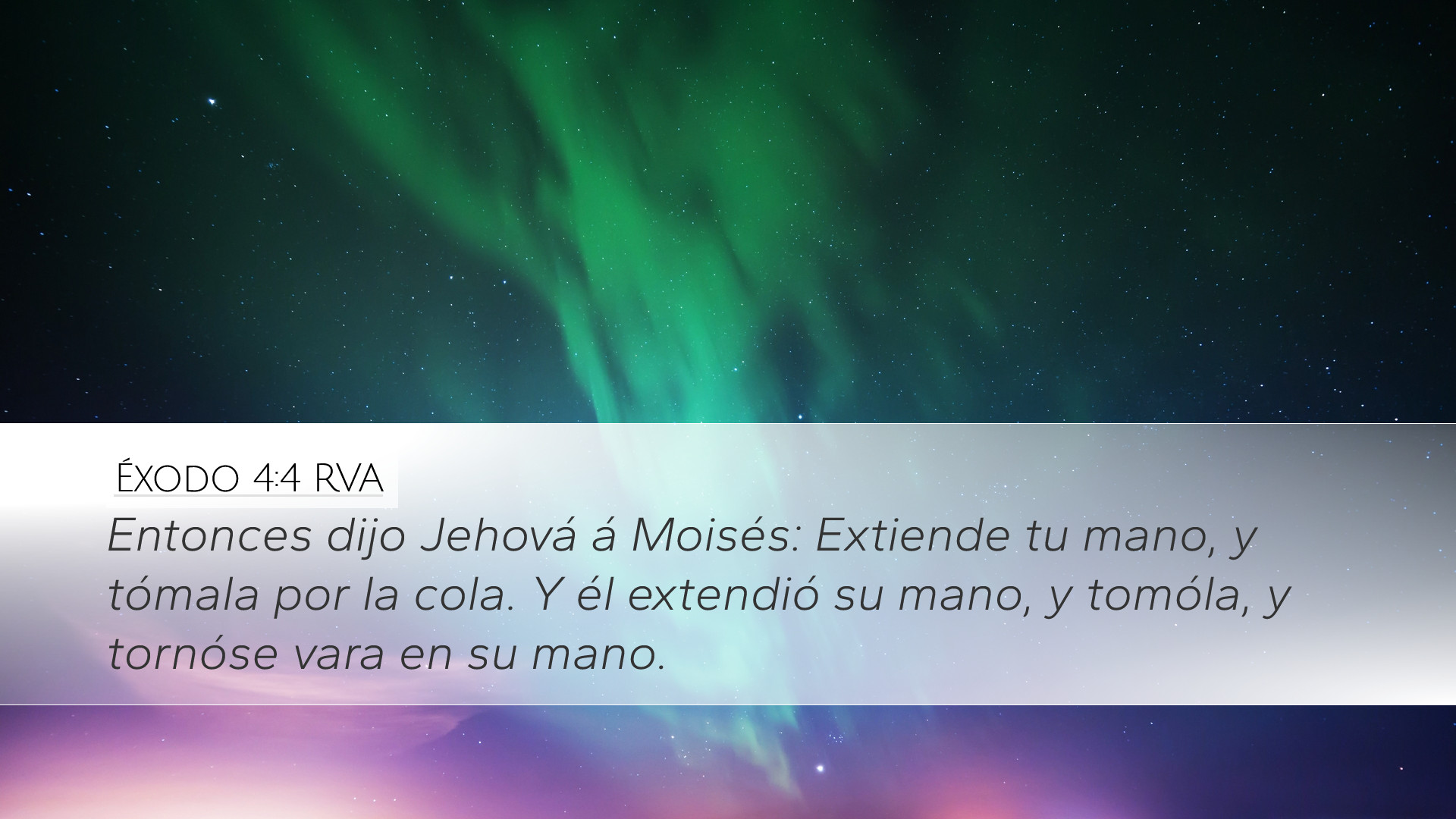 Éxodo 4:4 RVA Desktop Wallpaper - Entonces dijo Jehová á Moisés ...