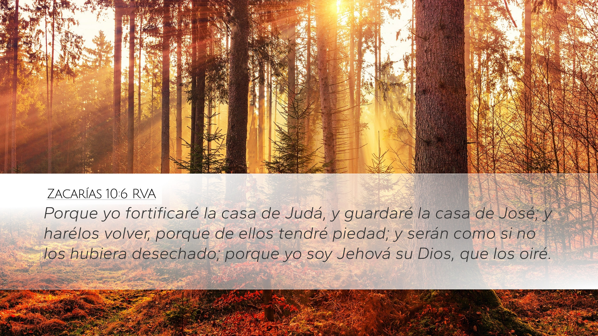 Zacarías 10:6 RVA Desktop Wallpaper - Porque yo fortificaré la casa de ...
