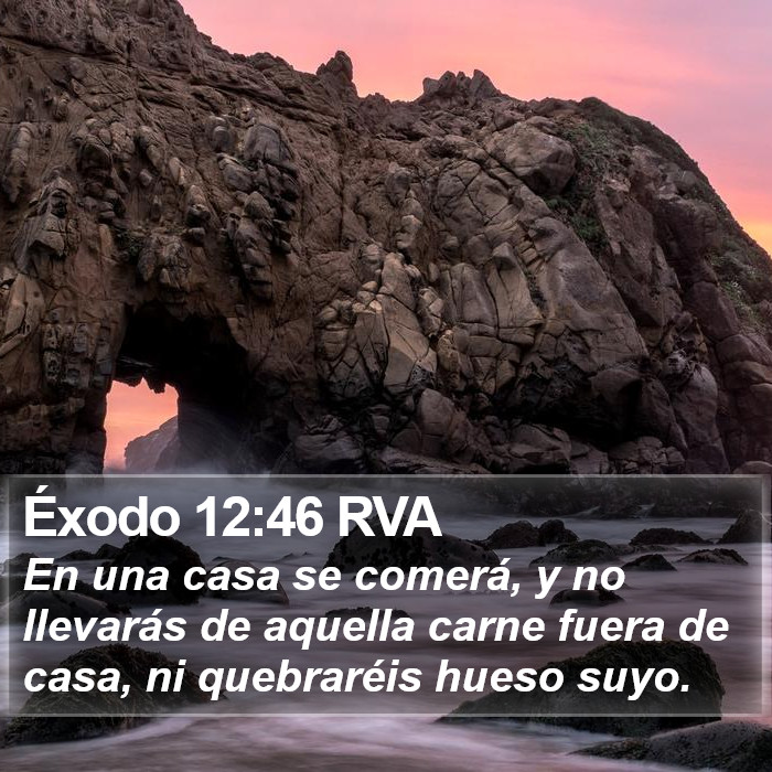 Éxodo 12:46 RVA - En una casa se comerá, y no llevarás de aquella