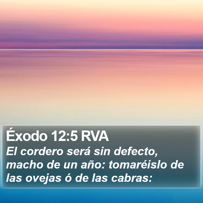 Éxodo 12:5 RVA - El cordero será sin defecto, macho de un año: