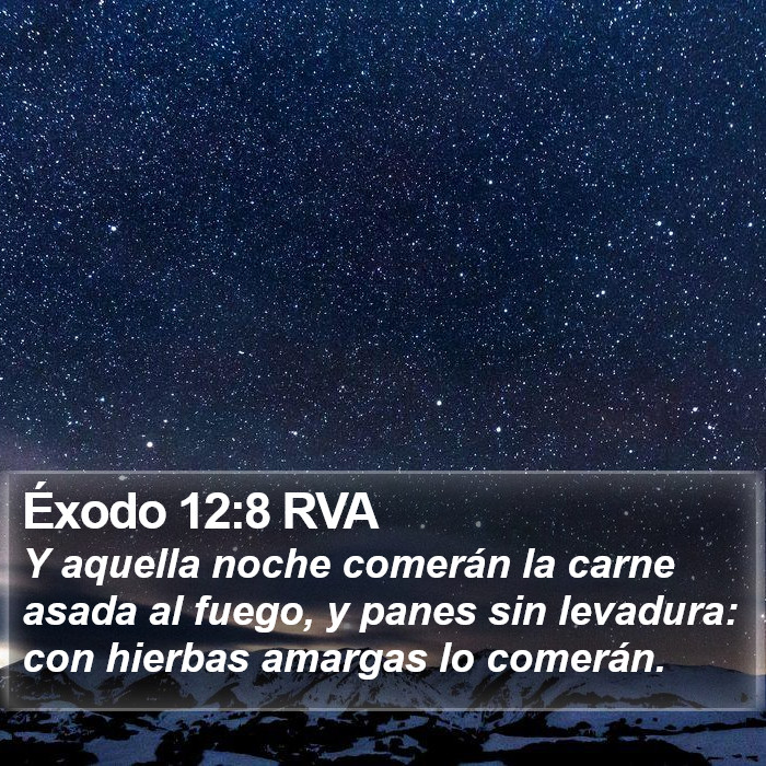 Éxodo 12:8 RVA - Y aquella noche comerán la carne asada al fuego,