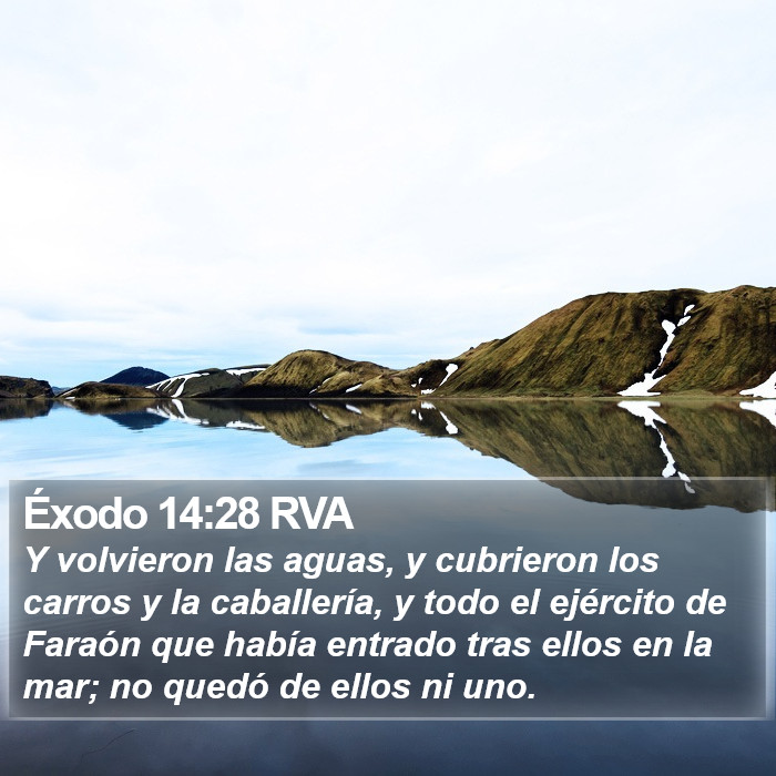 Éxodo 14:28 RVA - Y volvieron las aguas, y cubrieron los carros y
