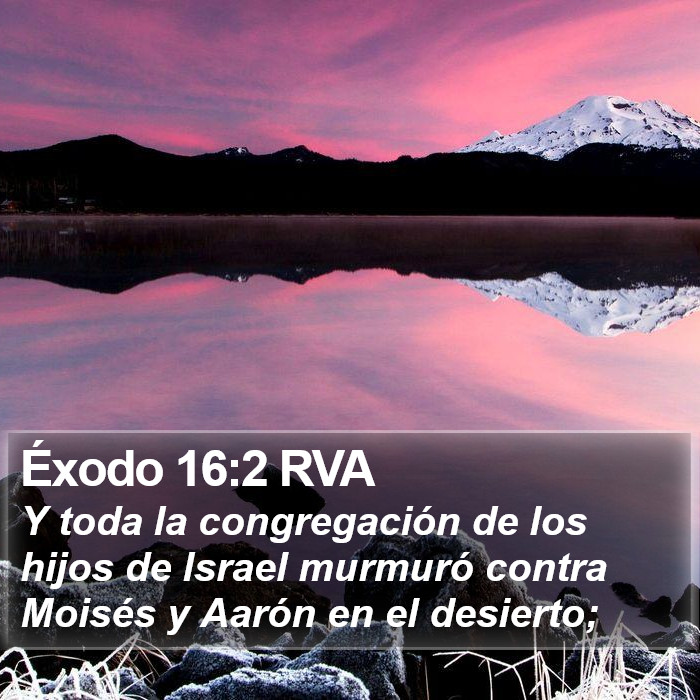 Éxodo 16:2 RVA - Y toda la congregación de los hijos de Israel