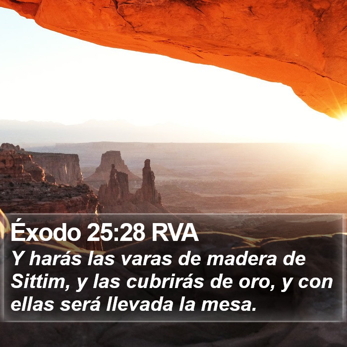 Éxodo 25:28 RVA - Y harás las varas de madera de Sittim, y las