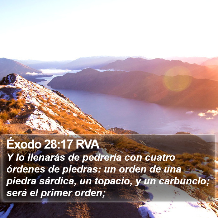 Éxodo 28:17 RVA - Y lo llenarás de pedrería con cuatro órdenes
