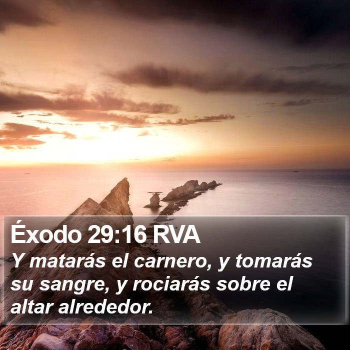 Éxodo 29:16 RVA - Y matarás el carnero, y tomarás su sangre, y
