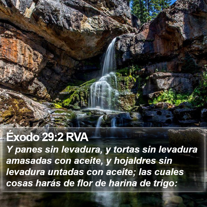 Éxodo 29:2 RVA - Y panes sin levadura, y tortas sin levadura