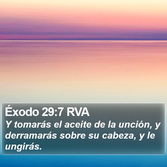 Éxodo 29:7 RVA - Y tomarás el aceite de la unción, y derramarás