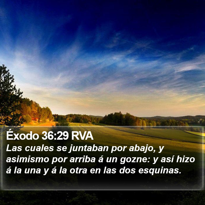Éxodo 36:29 RVA - Las cuales se juntaban por abajo, y asimismo por