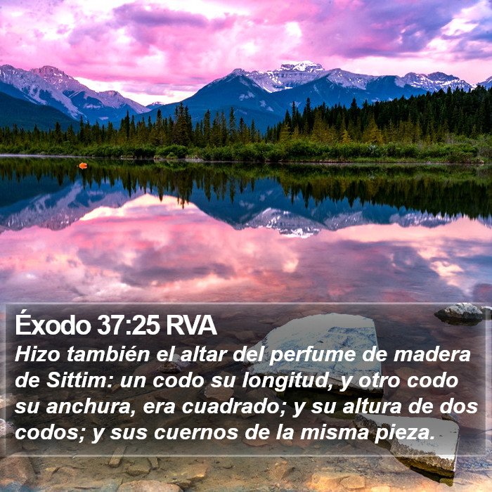 Éxodo 37:25 RVA - Hizo también el altar del perfume de madera de
