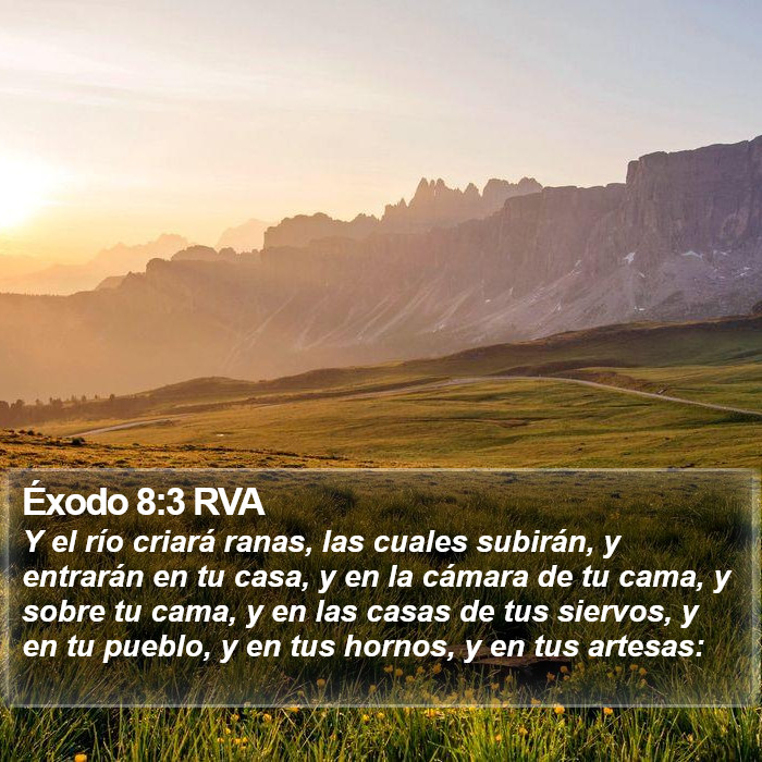 Éxodo 8:3 RVA - Y el río criará ranas, las cuales subirán, y