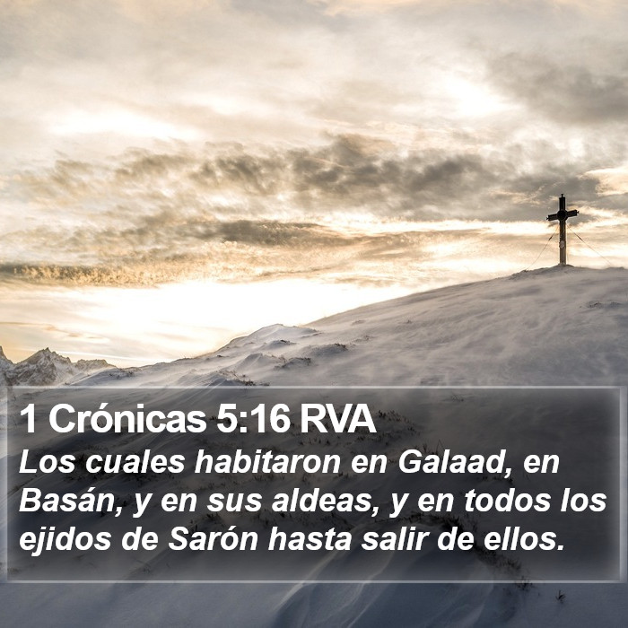 1 Crónicas 5:16 RVA - Los cuales habitaron en Galaad, en Basán, y en