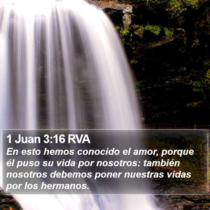 1 Juan 3:16 RVA - En esto hemos conocido el amor, porque él puso