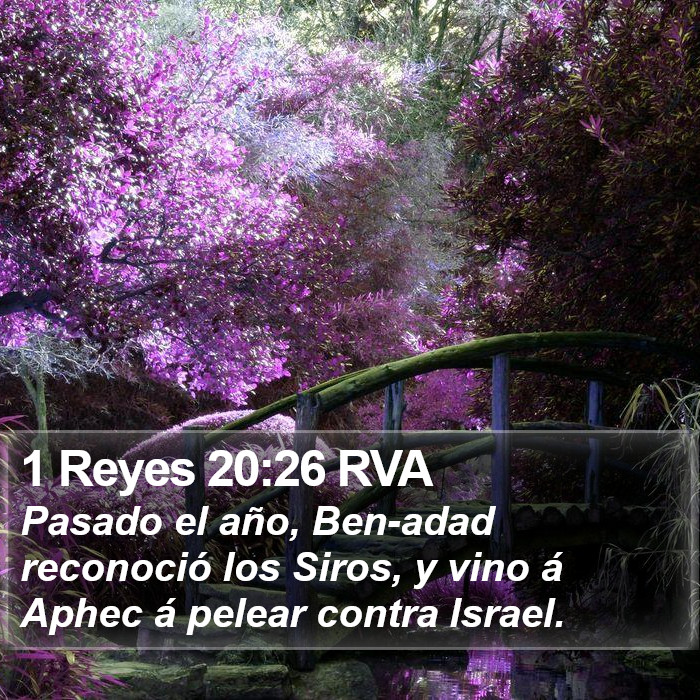 1 Reyes 20:26 RVA - Pasado el año, Ben-adad reconoció los Siros, y