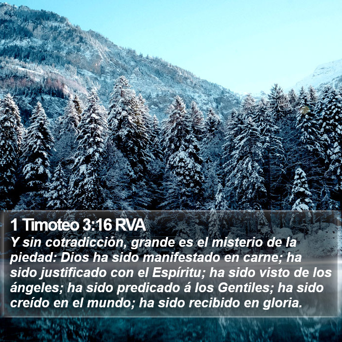 1 Timoteo 3 Bible Images - 1 Timoteo Chapter 3 RVA Bible Verse Pictures