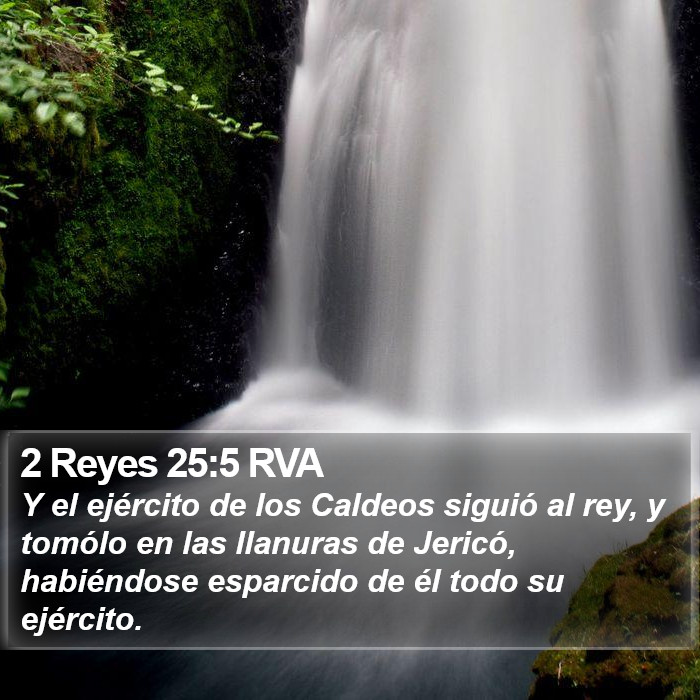 2 Reyes 25:5 RVA - Y el ejército de los Caldeos siguió al rey, y