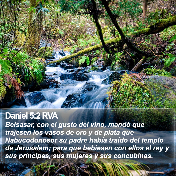 Daniel 5:2 RVA - Belsasar, con el gusto del vino, mandó que
