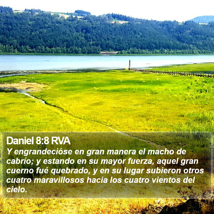 Daniel 8:8 RVA - Y engrandecióse en gran manera el macho de