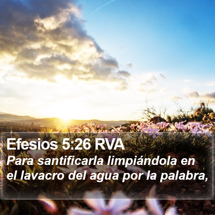 Efesios 5:26 RVA - Para santificarla limpiándola en el lavacro del