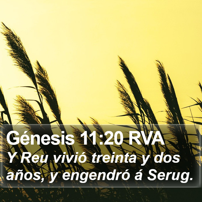 Génesis 11:20 RVA - Y Reu vivió treinta y dos años, y engendró á
