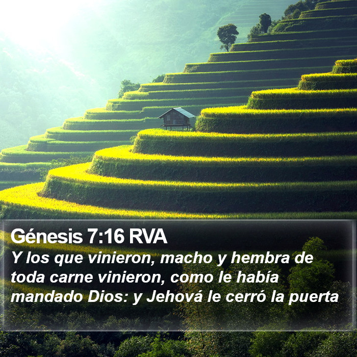 Génesis 7:16 RVA - Y los que vinieron, macho y hembra de toda carne