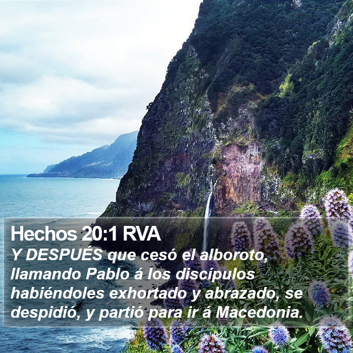 Hechos 20:1 RVA - Y DESPUÉS que cesó el alboroto, llamando Pablo