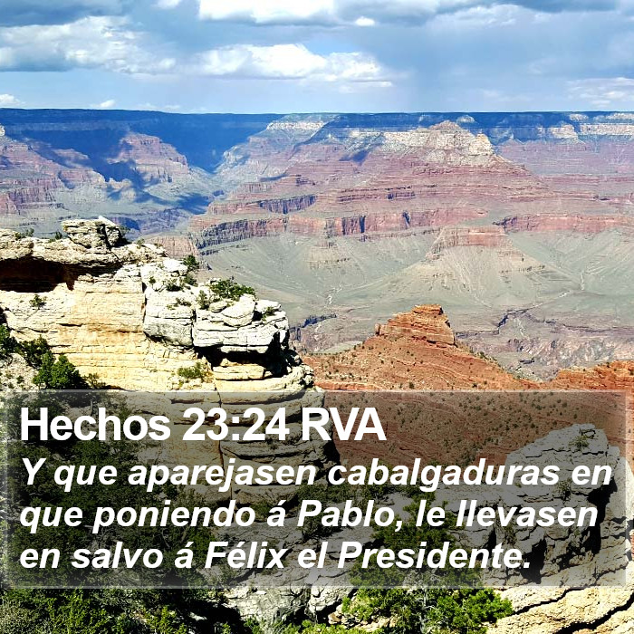 Hechos 23:24 RVA - Y que aparejasen cabalgaduras en que poniendo á