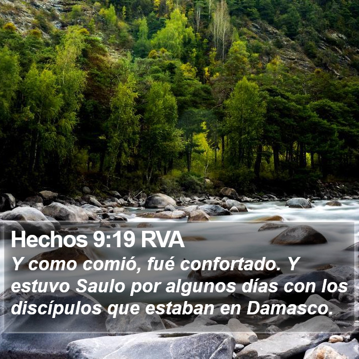Hechos 9:19 RVA - Y como comió, fué confortado. Y estuvo Saulo
