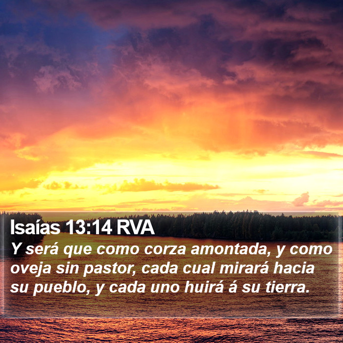 Isaías 13:14 RVA - Y será que como corza amontada, y como oveja sin