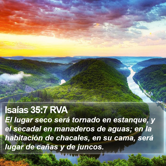 Isaías 35:7 RVA - El lugar seco será tornado en estanque, y el