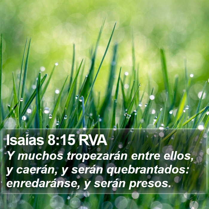 Isaías 8:15 RVA - Y muchos tropezarán entre ellos, y caerán, y