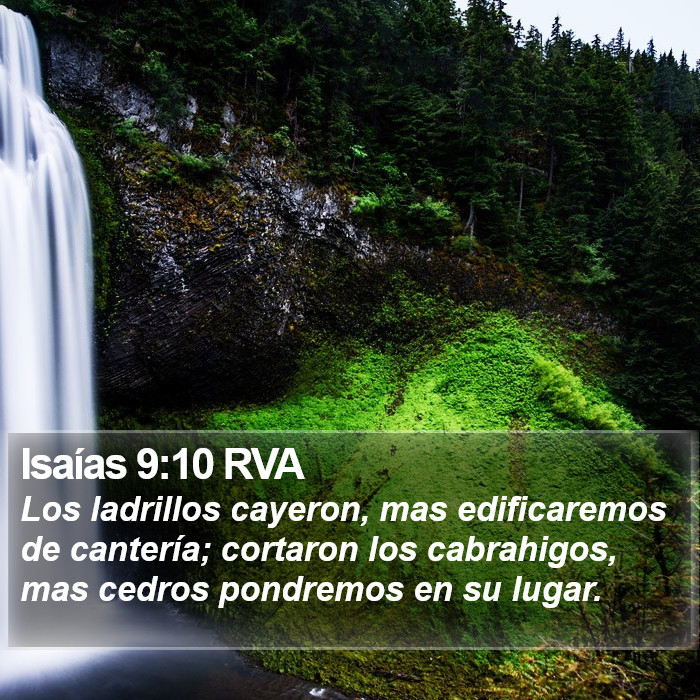 Isaías 9:10 RVA - Los ladrillos cayeron, mas edificaremos de