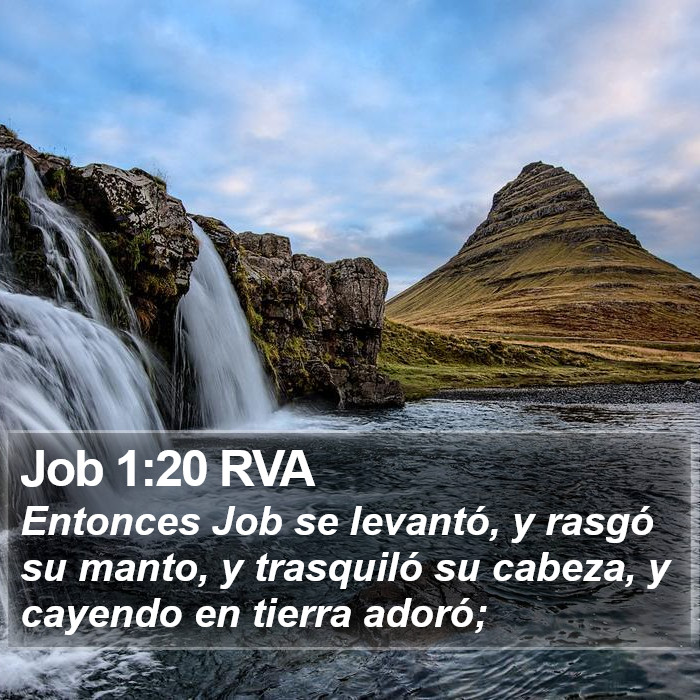 Job 1:20 RVA - Entonces Job se levantó, y rasgó su manto, y