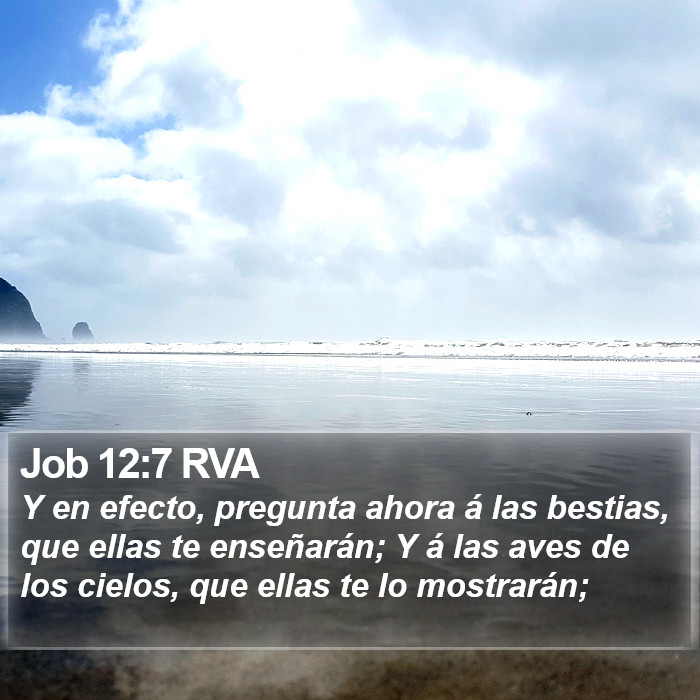 Job 12:7 RVA - Y en efecto, pregunta ahora á las bestias, que