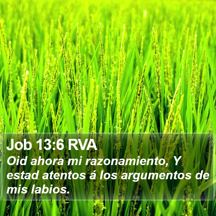 Job 13:6 RVA - Oid ahora mi razonamiento, Y estad atentos á los