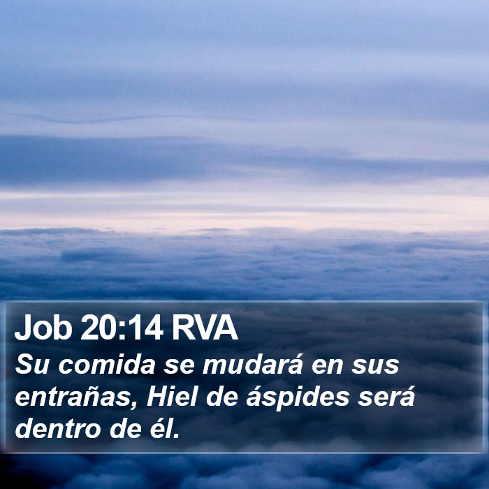 Job 20:14 RVA - Su comida se mudará en sus entrañas, Hiel de