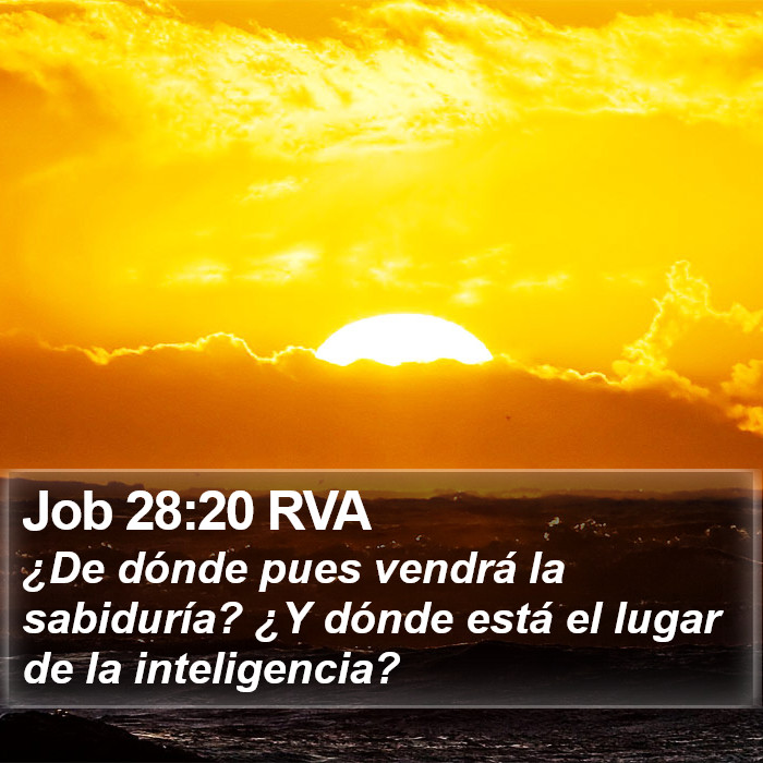 Job 28:20 RVA - ¿De dónde pues vendrá la sabiduría? ¿Y