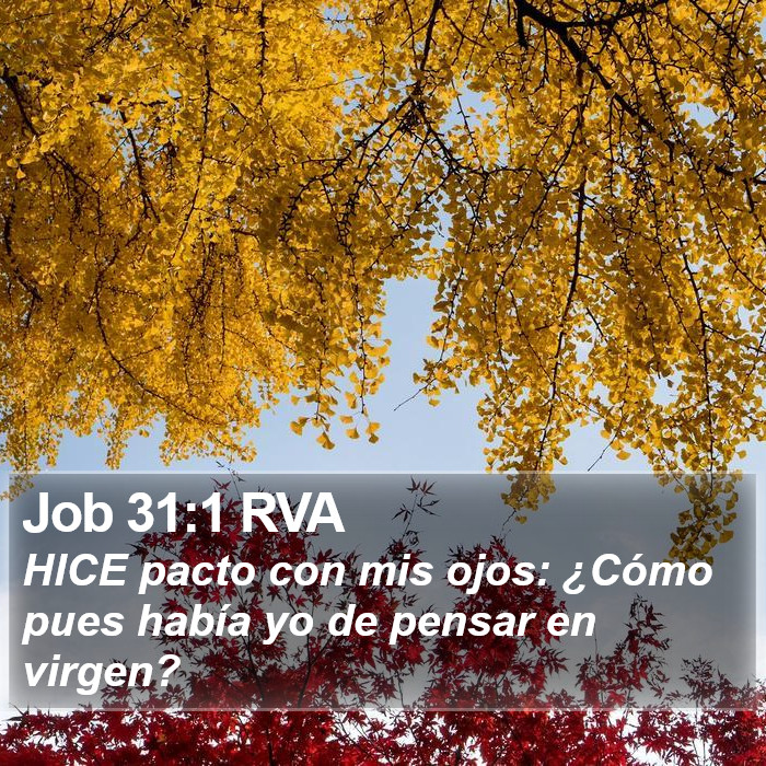 Job 31:1 RVA - HICE pacto con mis ojos: ¿Cómo pues había yo