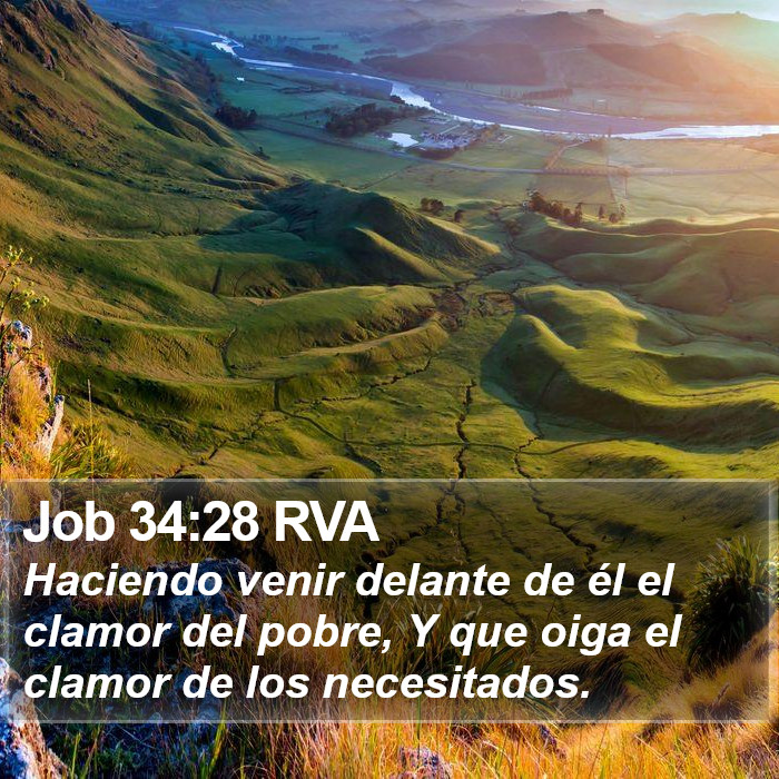 Job 34:28 RVA - Haciendo venir delante de él el clamor del