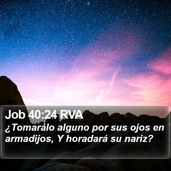 Job 40 Bible Images - Job Chapter 40 RVA Bible Verse Pictures