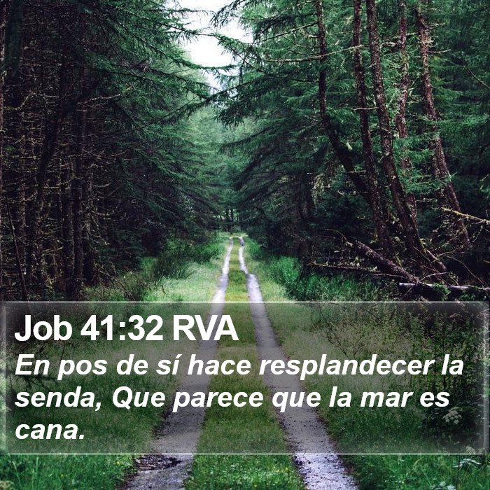Job 41:32 RVA - En pos de sí hace resplandecer la senda, Que