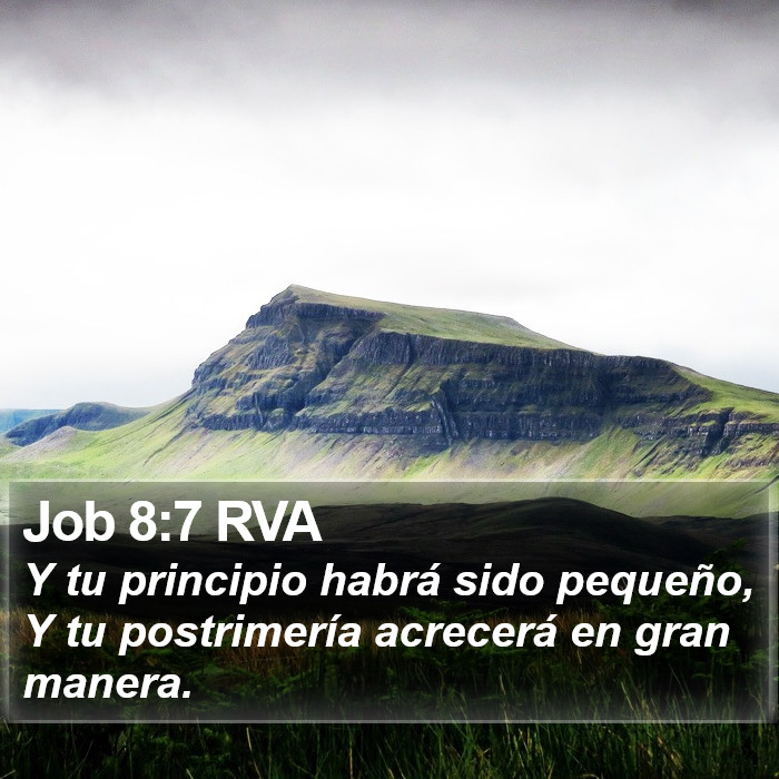 Job 8:7 RVA - Y tu principio habrá sido pequeño, Y tu