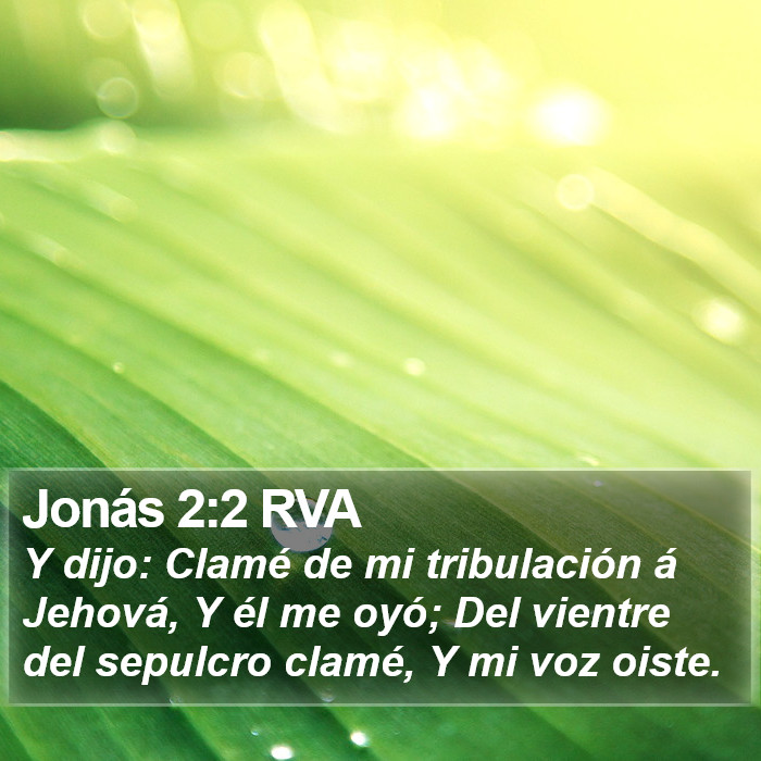 Jonás 2:2 RVA - Y dijo: Clamé de mi tribulación á Jehová, Y