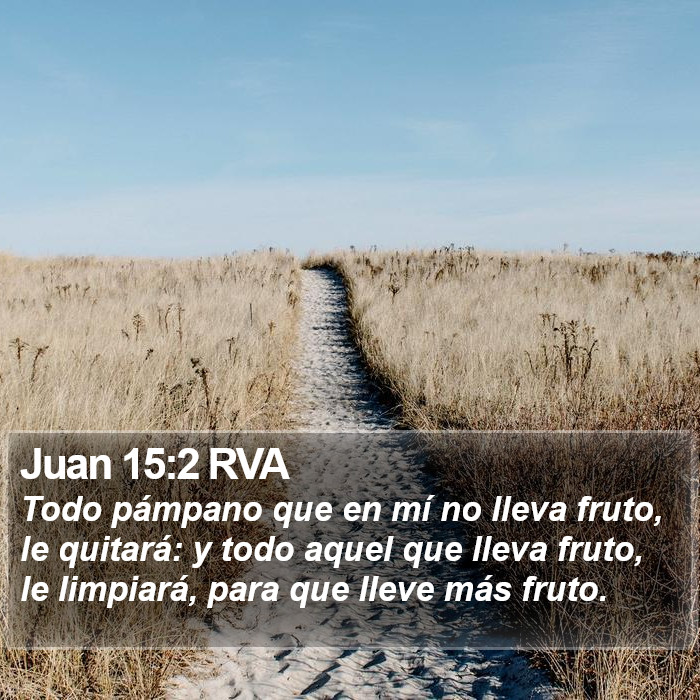 Juan 15:2 RVA - Todo pámpano que en mí no lleva fruto, le