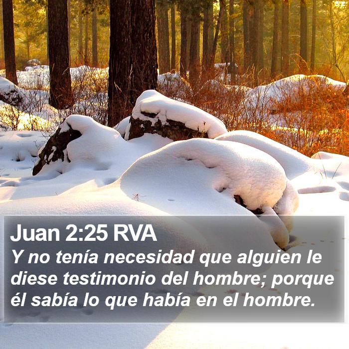 Juan 2 Bible Images - Juan Chapter 2 RVA Bible Verse Pictures