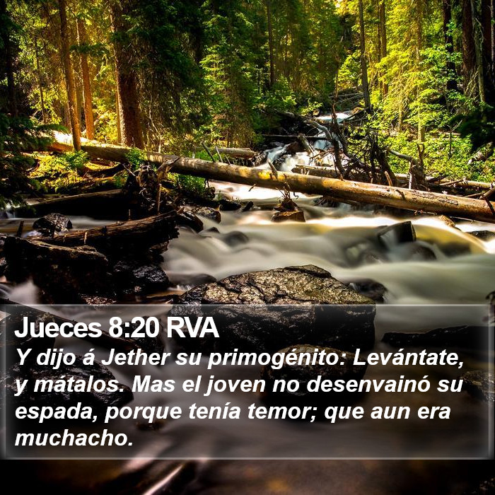 Jueces 8:20 RVA - Y dijo á Jether su primogénito: Levántate, y