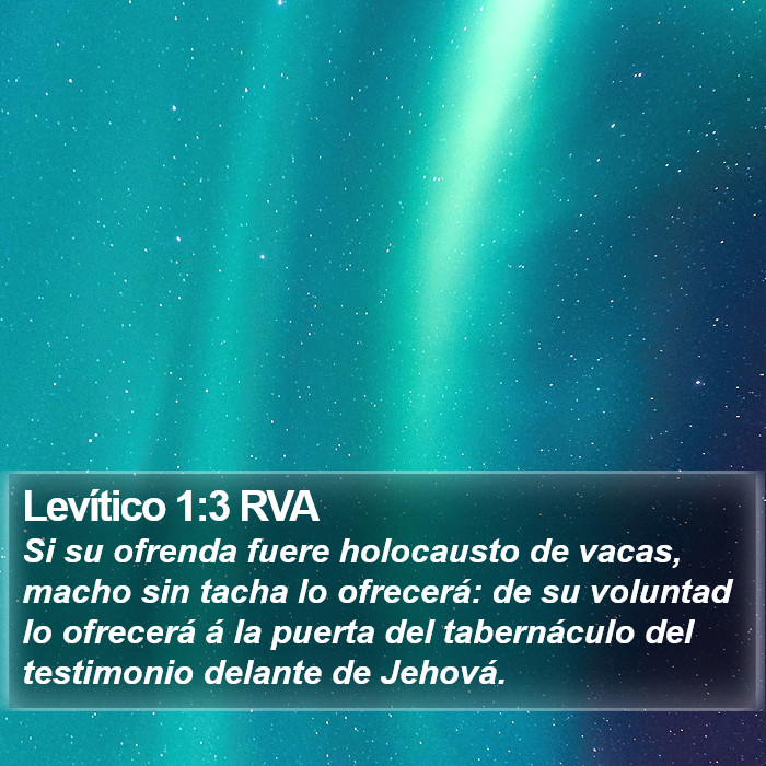 Levítico 1:3 RVA - Si su ofrenda fuere holocausto de vacas, macho