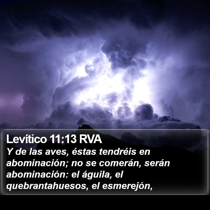 Levítico 11:13 RVA - Y de las aves, éstas tendréis en abominación;