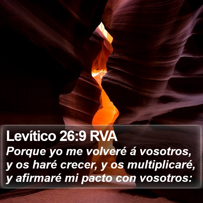 Levítico 26:9 RVA - Porque yo me volveré á vosotros, y os haré